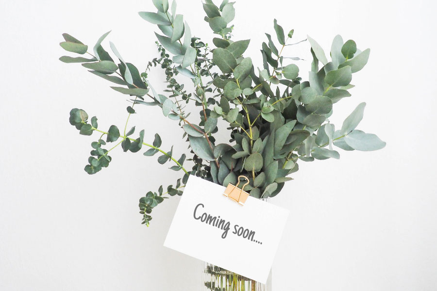 News | The Mendip Inn